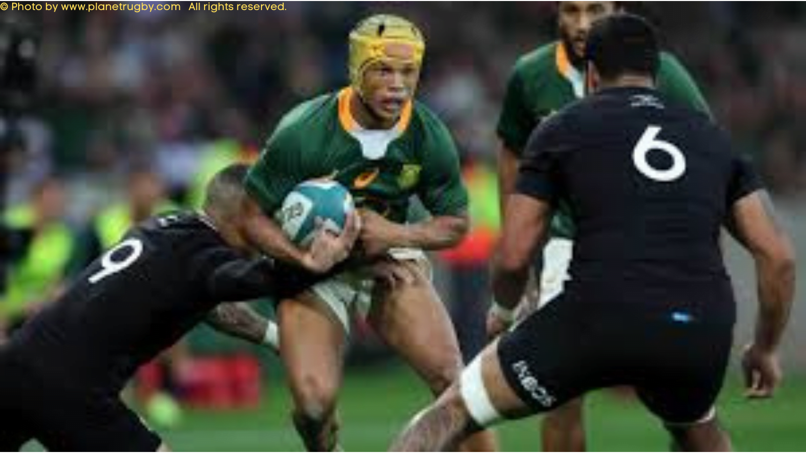 Springboks Trash All Blacks - Foster Dead Man Walking | TEIVOVO Rugby