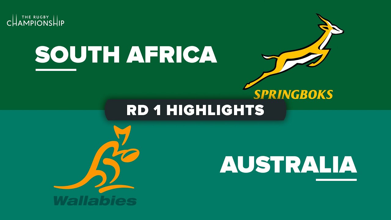 Springboks Unload On Fast Eddie's Wannabies | TEIVOVO Rugby